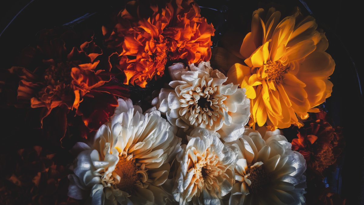 Drought, by Victoria Nordlund – Halfway Down the Stairs