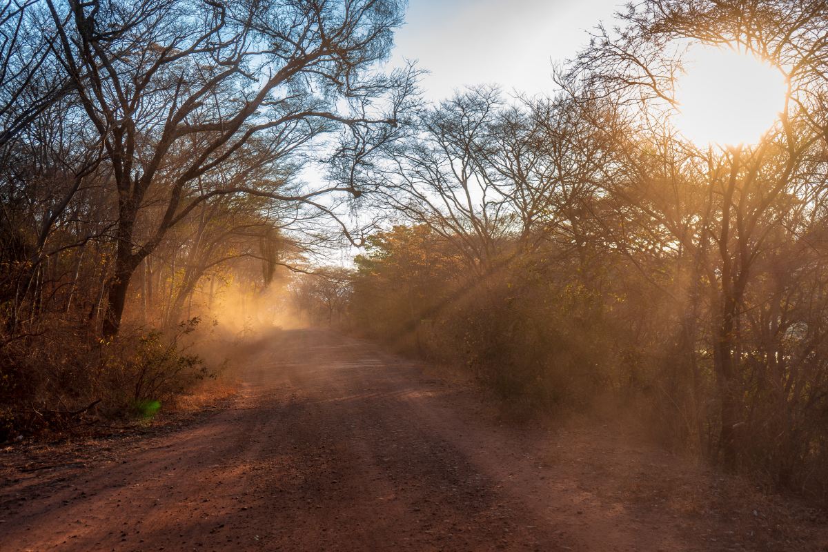 That’s What Zimbabweans Do, by Hope Elizabeth Kidd – Halfway Down the Stairs